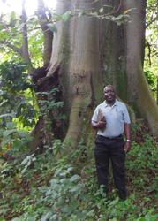 Consortium for Research in East African Tropical Ecosystems: Mitglieder ...
